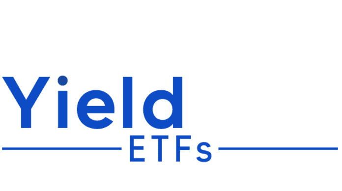 일드맥스 TSLY 주식의 특징과 월배당 일정 - TILNOTE